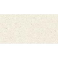 China Modern Stone Like Porcelain Tiles 600X1200 Formaldehyde Free for sale