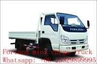China Foton forland 4*2 RHD 3ton-4ton mini dump truck, factory direct sale best price forland 3tons mini dump truck for sale
