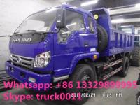 China 95HP 4*2 FORLAND Small Dump Truck for sale 3 ton, factory direct sale forland brand 4*2 RHD mini dump truck for sale for sale