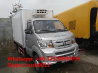 China High quality sinotruk wangpai gasoline 80hp 1tons mini refrigerator truck, SINOTRUK gasoline refrigerator minibus for sale