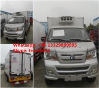 China China Customized 4x2 new small sinotruk refrigerated truck, SINO TRUK wangpai brand refrigerator minivan truck for sale for sale