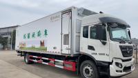 China Day-old Baby Chick Transported Truck in Different Colors Upon Request dongfeng poultry chick van vehicle for sale for sale