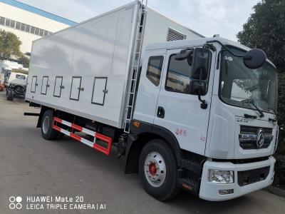 China good price! Day Old Chicks Transported Truck with 40000 Babychicks Transportation Capacity babychicks van truck price for sale