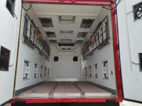 China SINOTRUK HOWO 6 Tires RHD poultry Babychicks van vehicle 30,000 Day Old Chicks Transported Truck for slaughterhouses for sale