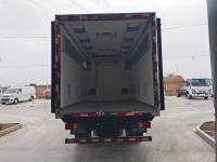 China Reliable Baby Birds Van Truck - Different Sizes for babychicks Transportation customized slaugtherhouses chicken van for sale