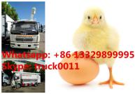 China bottom price 4-5tons hydraulic poultry feed truck for chick farm for Philipines, hot sale 11m3  feed transported truck for sale