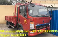 China Customized SINO TRUK HOWO light duty 4*2 RHD 90hp cargo truck for Indonesia, Factory sale whole price cargo van truck for sale