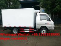 China Cheapest price new China made Forland LHD mini 61hp gasoline engine Forland refrigerated truck, frozen minivan vehicle for sale