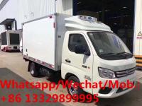 China best seller- FOTON XIANGLIN M1 gasoline refrigerated truck for sale, Factory sale good cheapest refrigerated minivan for sale