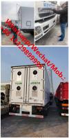 China Customized dongfeng 6.4m length yonger baby chick refrigerated truck for sale, diesel 190hp day old chick van vehicle for sale