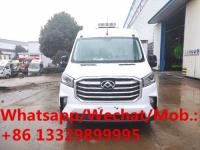 China Customized SHANGQI Datong V90 diesel engine Refrigerated minivan for sale,  New cold van truck for transported vaccines for sale