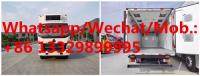 China HOT SALE! HOWO 6M 180hp Euro 4 diesel day old chick truck for sale, 50,000 poultry day old birds transported vehicle for sale