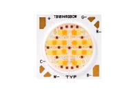 China 36V Dimming Cob LED High CRI Ra80/Ra90/Ra95 SDCM 2Step for Exceptional Lighting Solutions TB9-1814-RGBCW for sale