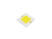 China 30w 3000-6000K Horticulture COB 50000 Hours Long Lifespan Consistent White Light for sale