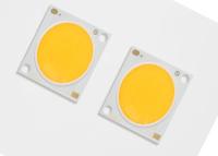 China 30w 50w Residential High Power Chip Power Led Compact High Flux Density Light Source for sale