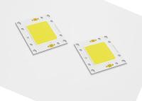 China 200W High Power Cob LED Copper Base Material Track Spot Light Lighting for sale
