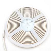 China 576D-IP67 Waterproof Dual-Color Temperature LED Strip Light for sale