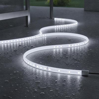 China 120 Degrees Beamangle Waterproof light strip 720LEDs per Meter Suitable for Indoor Outdoor and Various Lighting Projects for sale