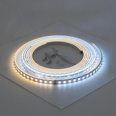 China Easy Installation LED COB Strip Light Offering 3000K 4000K 6000K Color Temperature and 120 Degrees Beam Angle for Energy Lighting Solutions for sale