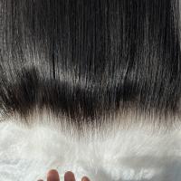 China 12A Pre Plucked Human Hair Frontal Closure Swiss Lace 6x9 Transparent HD Lace 60g for sale