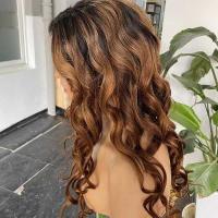 China Brown Body Wave 4x4 Transparent Lace Closure Wig 200g Brazilian Human Hair for sale