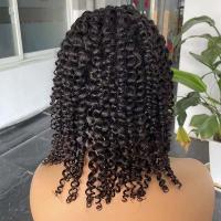 China Glueless Kinky Curly Brazilian Human Hair Lace Wig Virgin Cuticle Aligned 10-30 Inch for sale