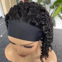 China Glueless Kinky Curly Brazilian Human Hair Lace Wig Virgin Cuticle Aligned 10-30 Inch for sale