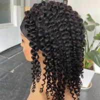 China Glueless Kinky Curly Brazilian Human Hair Lace Wig Virgin Cuticle Aligned 10-30 Inch for sale