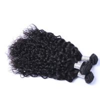China 12-26 Inch Water Wave Cambodian Curly Bundles Double Weft 100g Human Hair Extensions for sale