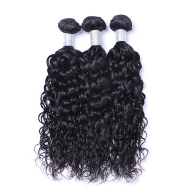China 12-26 Inch Water Wave Cambodian Curly Bundles Double Weft 100g Human Hair Extensions for sale