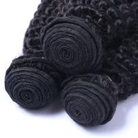 China Mongolian Raw Unprocessed Hair Vendors Afro Kinky Bulk Curly Wig for sale