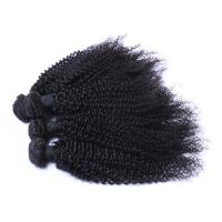 China Brazilian Virgin Kinky Curly Raw Hair Bundles 10A Grade Cuticle Aligned 100g 10-26inch for sale