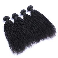 China Brazilian Virgin Kinky Curly Raw Hair Bundles 10A Grade Cuticle Aligned 100g 10-26inch for sale