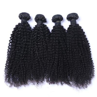 China Brazilian Virgin Kinky Curly Raw Hair Bundles 10A Grade Cuticle Aligned 100g 10-26inch for sale