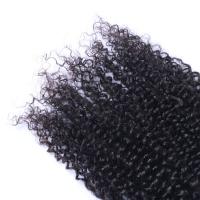 China Brazilian Virgin Kinky Curly Raw Hair Bundles 10A Grade Cuticle Aligned 100g 10-26inch for sale