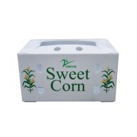 China Corruone waterproof recyclable corrugated plastic vegetable and fruit box for sale