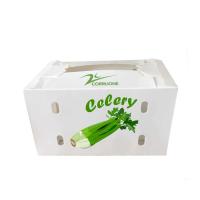 China Corruone waterproof recyclable corrugated plastic vegetable and fruit box for sale