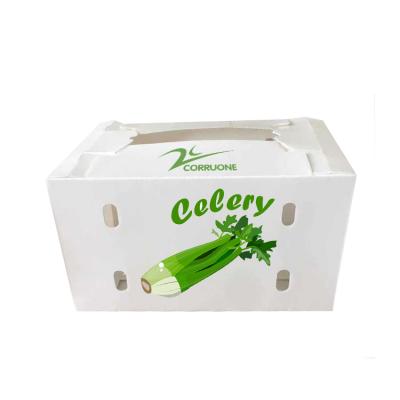 China Corruone waterproof recyclable corrugated plastic vegetable and fruit box for sale