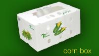 China Corruone waterproof recyclable corrugated plastic vegetable and fruit box for sale