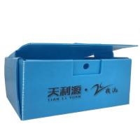 China PP Plastic Corrugated Box 500x270x270mm 13.6kg Capacity for Fresh Produce for sale