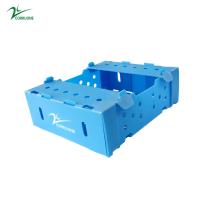 China Corruone Waterproof Folding PP Corrugated Plastic Fruit Vegetable Packing Box 55x45x35cm for sale