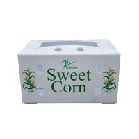 China Correx Fruit Box PP Corrugated Plastic Box For Vegetable  And Agriculture Packing Box for sale
