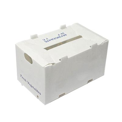 China Correx Fruit Box PP Corrugated Plastic Box For Vegetable  And Agriculture Packing Box for sale