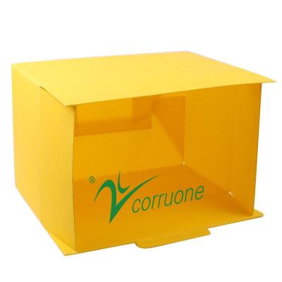 China Customizable PP Vegetable Corrugated Box 500x270x270mm 13.6kg Capacity for sale