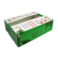 China Correx Fruit Box PP Corrugated Plastic Box For Vegetable  And Agriculture Packing Box for sale