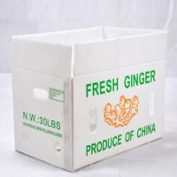China Correx Fruit Box PP Corrugated Plastic Box For Vegetable  And Agriculture Packing Box for sale