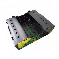China Durable Vegetable Corrugated Boxes Food Grade Polypropylene 40x30x20 cm for Optimal Storage for sale