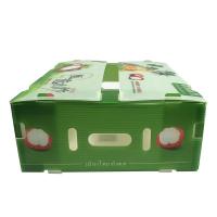 China Fruit Vegetable Packing PP Cartonplast Grapes Packing Boxes Plastic Broccoli Boxes Corrugated Ginger Sheet for sale
