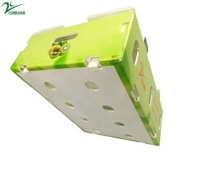 China Customizable Plastic Corrugated Vegetable Box 55x45x35cm PP Reusable Fruit Carton for sale