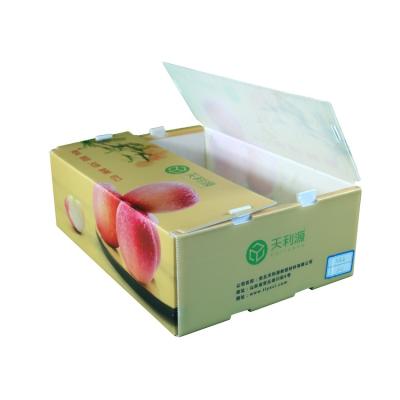China Fruit Vegetable Packing PP Cartonplast Grapes Packing Boxes Plastic Broccoli Boxes Corrugated Ginger Sheet for sale